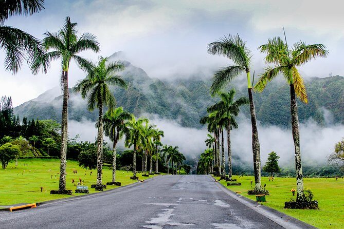 Private Oahu Circle Island Tour - The Sum Up: Who Should Book This Tour?