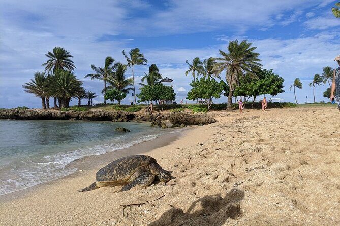 Private Oahu Circle Island Tour - Why This Tour Might Be Perfect for You