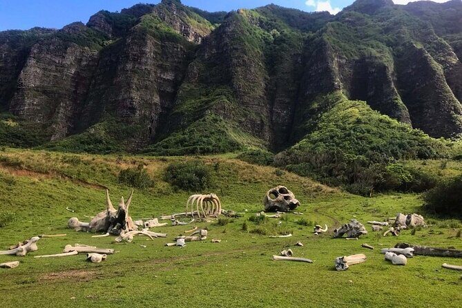 Private Oahu Photo Tour - Who Will Love This Tour?