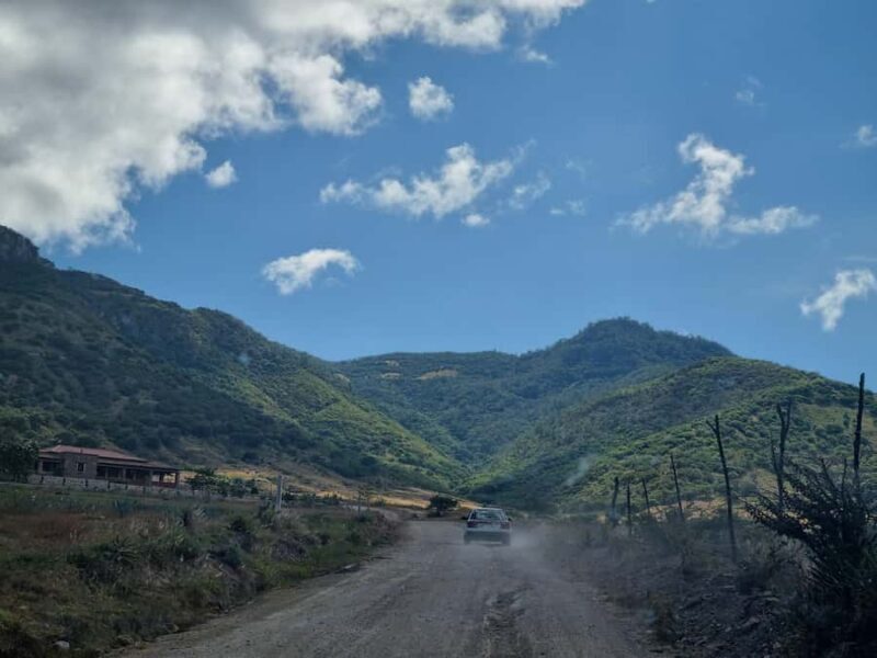 Private Oaxaca: Artisanal Mezcal, Alebrijes, and Textiles - Who Should Consider This Tour?