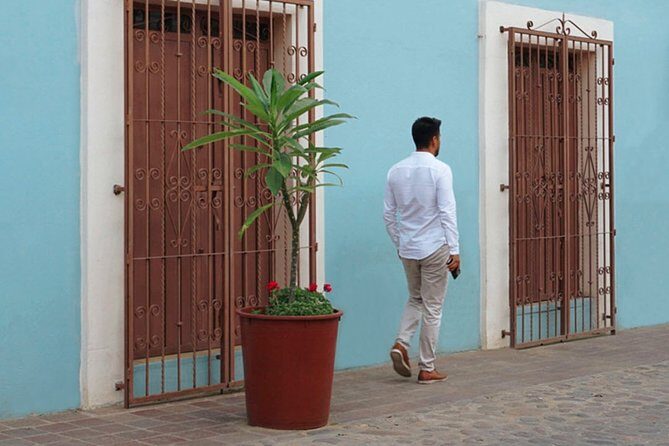 Private Oaxaca Walking Tour with Mezcal Tasting - Starting Point and Structure