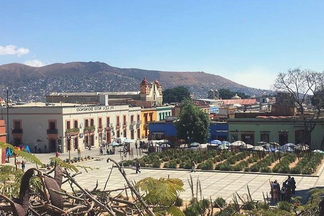 Private Oaxaca Walking Tour with Mezcal Tasting - The Mezcal Experience
