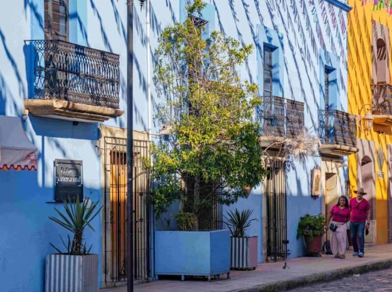 Private Oaxaca Walking Tour with Mezcal Tasting - Final Thoughts