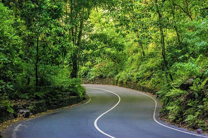 Private Ocho Rios Tour with Dunn's River Falls and Lunch - Key Points