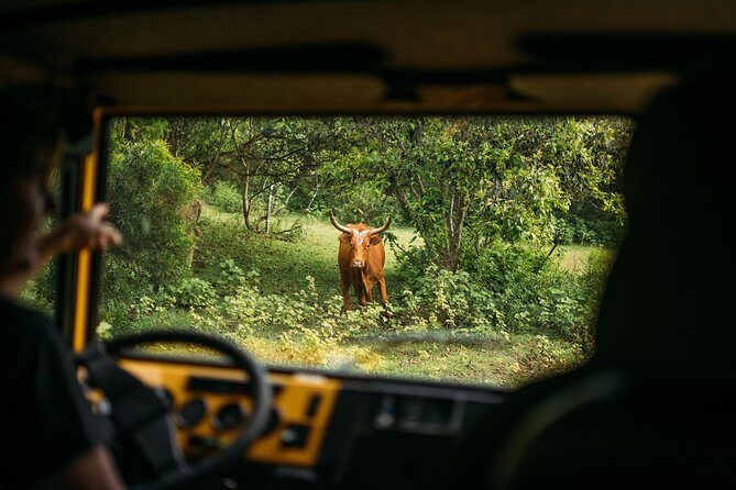 Private Off-Road Adventure Tour - An Overview of the Adventure