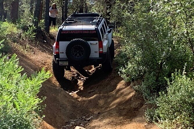 Private Off Road Adventure Tours in the Prescott National Forest - What Travelers Say