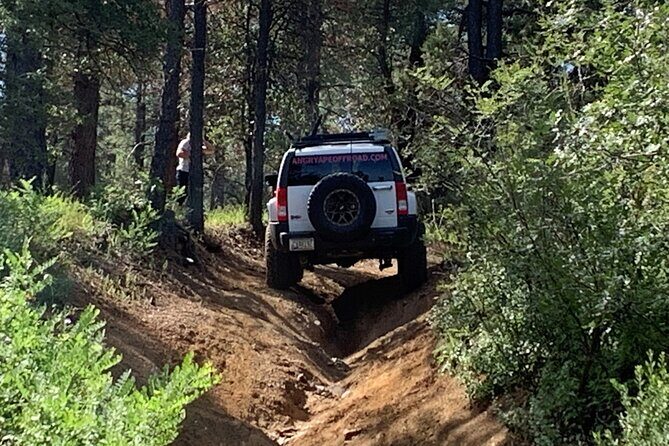 Private Off Road Adventure Tours in the Prescott National Forest - Who Should Consider This Tour?