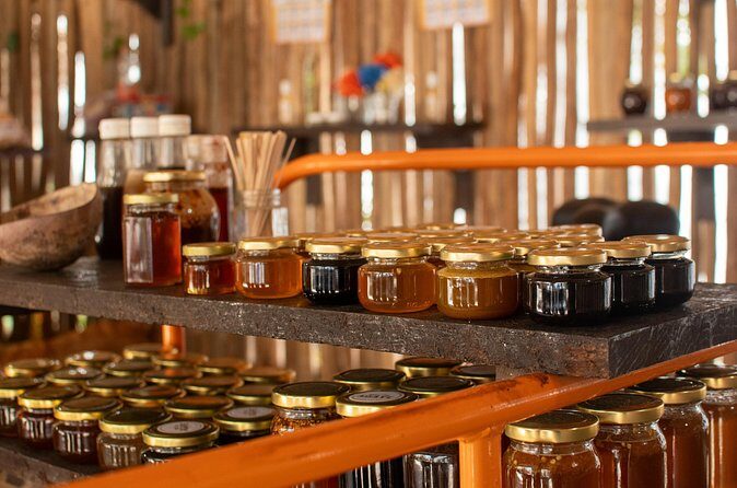 Private Off Road: Punta Sur Eco Park & Snorkeling Adventure - Who Would Enjoy This Tour?