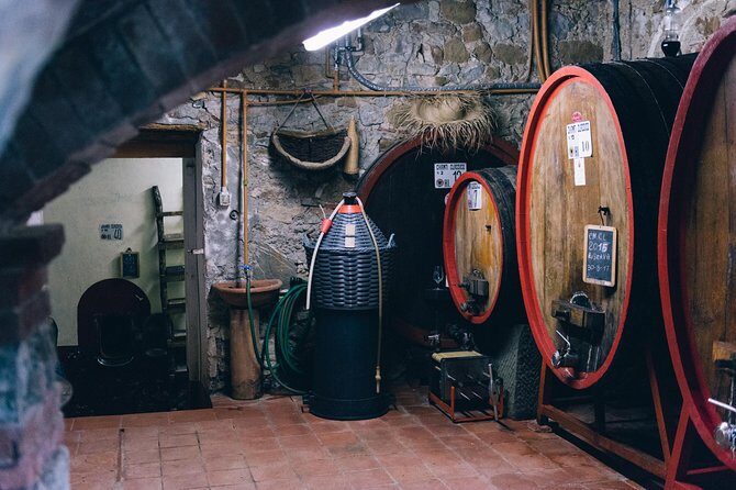 Private Off Road Wine Tour in Chianti from Siena - A Close Look at the Off-Road Chianti Experience