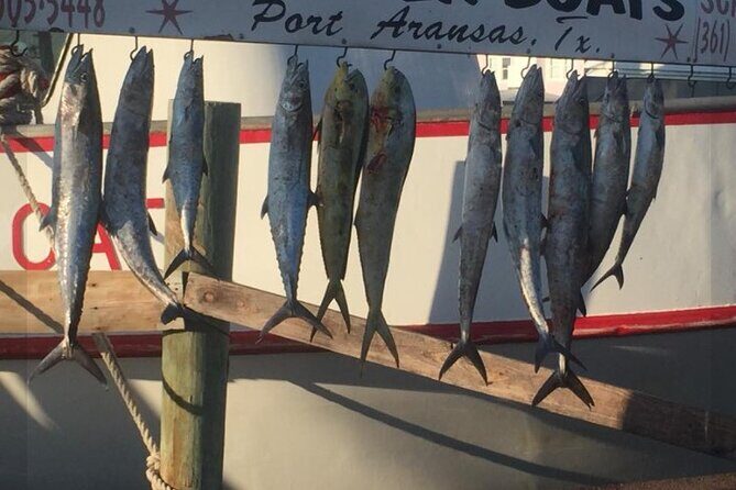 Private Offshore Fishing Charter from Port Aransas - Key Points