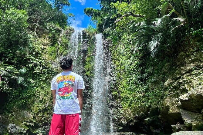 Private Okinawa Tour with Pickup from Where you want - Why the Price Reflects the Experience