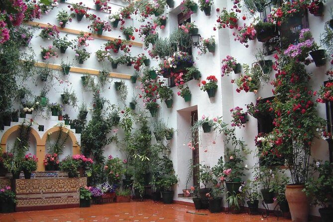 Private Old Cordoba walking tour and Mosque-Cathedral - FAQ