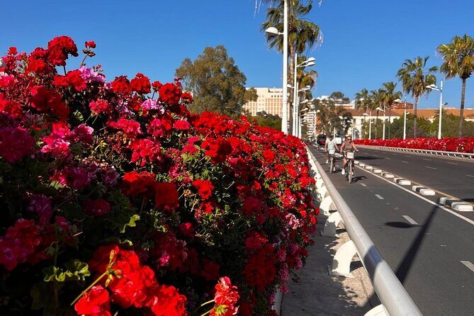 Private Old Town Golden Age Valencia Tour - Why This Tour Appeals to Travelers