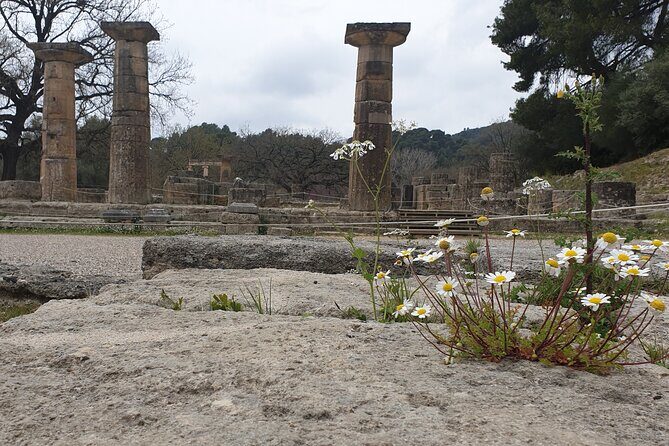 Private Olympia skip-the-line tour with a local tour guide - Accessibility and Additional Options