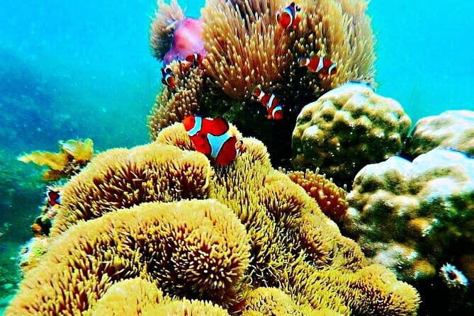 Private One Day Bintan Island Tour - The Sum Up
