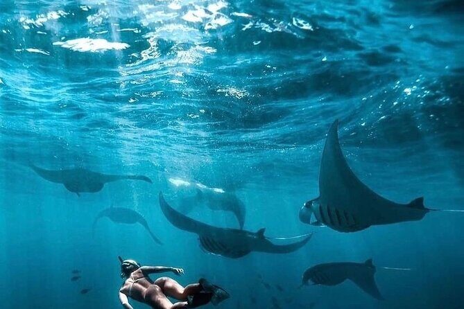 Private One Day East and West Tour with Snorkeling in Nusa Penida - Discovering the Best of Nusa Penida: A Private One Day East and West Tour with Snorkeling