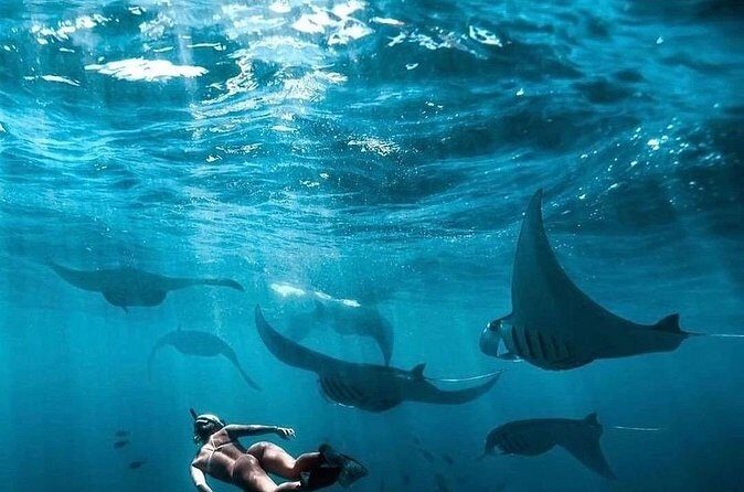 Private One Day East and West Tour with Snorkeling in Nusa Penida - FAQ