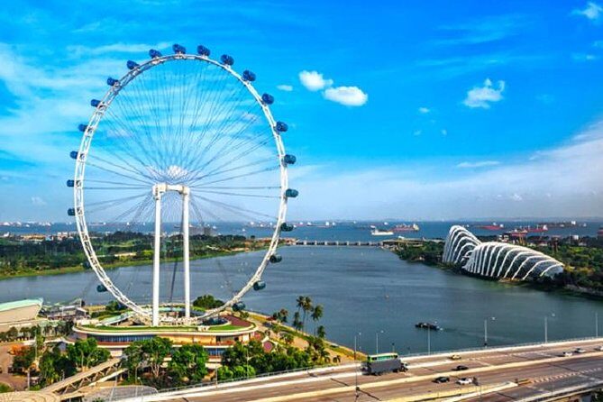 Private One Day Highlight Tour of Singapore with Singapore Flyer - An In-Depth Look at the Tour Experience