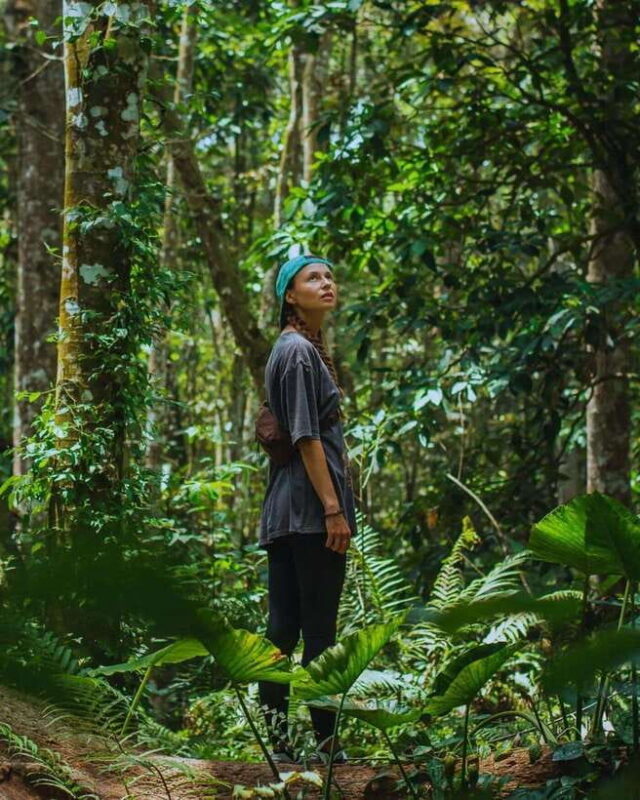 Private One-Day Tour: Authentic Tete Batu & Sukarara Village - Analyzing the Value