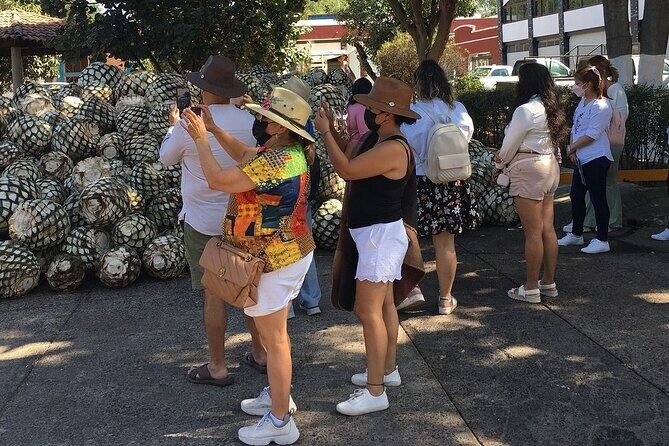 Private One Day Tour in Los Guachimontones and José Cuervo Tequila - Final Thoughts