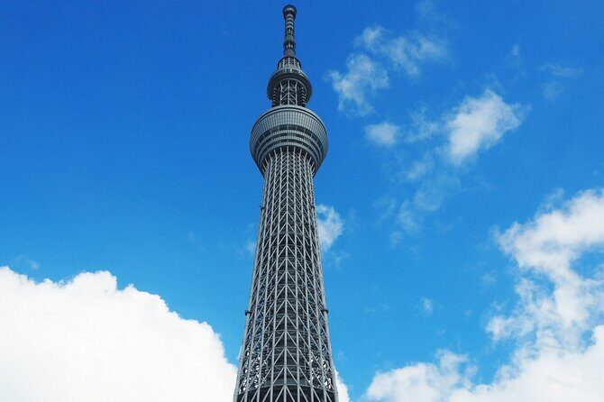 Private One Day Tour in Tokyo with Limousine and Driver - Authentic Experiences and Practical Details