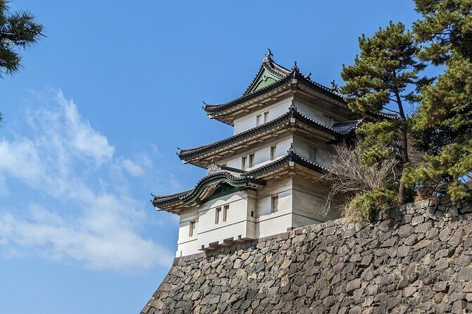 Private One Day Tour in Tokyo with Limousine and Driver - Who Will Love This Tour?