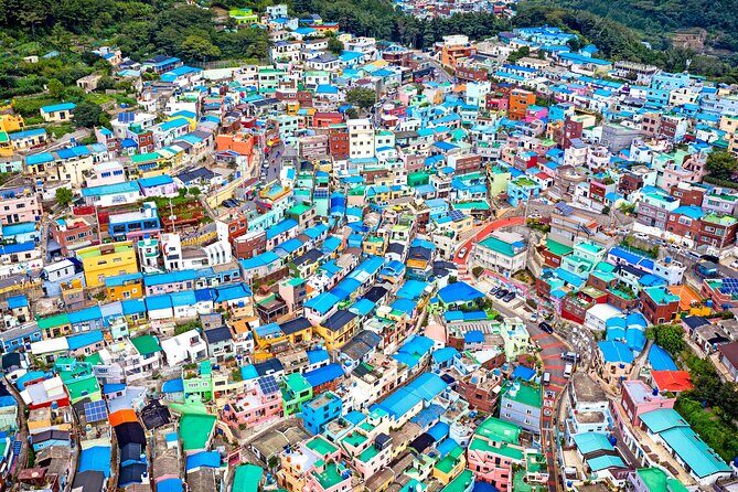 Private One Day Tour of Busan - Why a Private Tour of Busan Matters