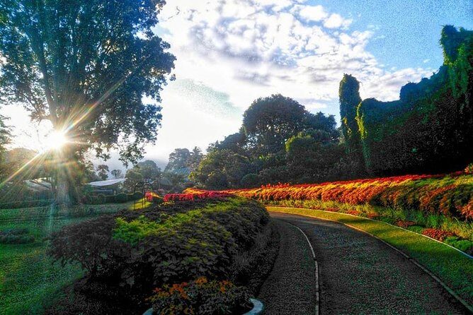 Private one-day tour to Kandy from Colombo or Negombo - Transportation & Overall Experience