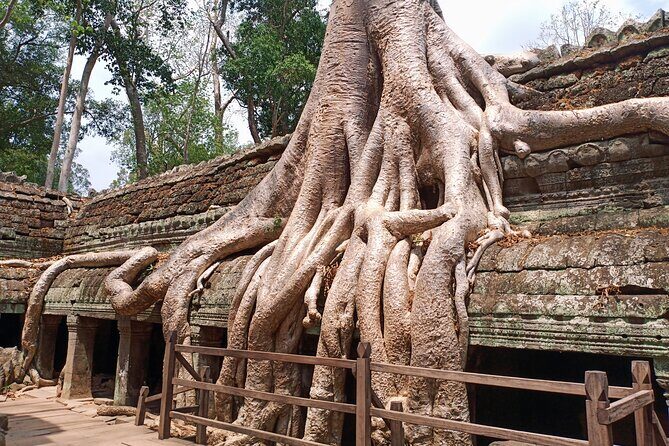 Private One Day Trip to Explore Angkor Temples - What’s Included and What’s Not