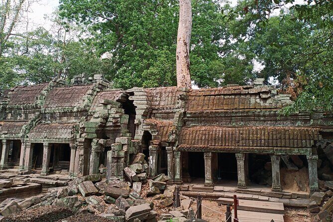 Private One Day Trip to Explore Angkor Temples - Who Is This Tour Best For?