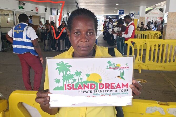 Private One-Way Airport Transfer to RIU Palace Aquarelle - Who Should Consider This Service?