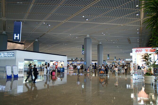 Private One-Way Transfer Between Tokyo and Haneda/Narita Airport - Who Should Consider This Service?
