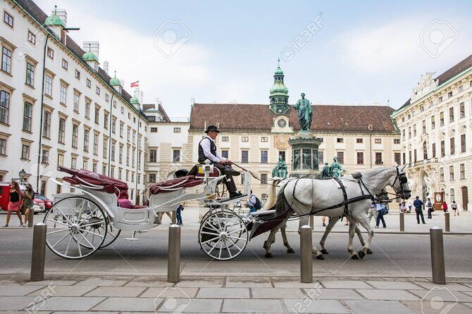 Private one way transfer from Cesky Krumlov to Vienna - Practical Tips for Travelers