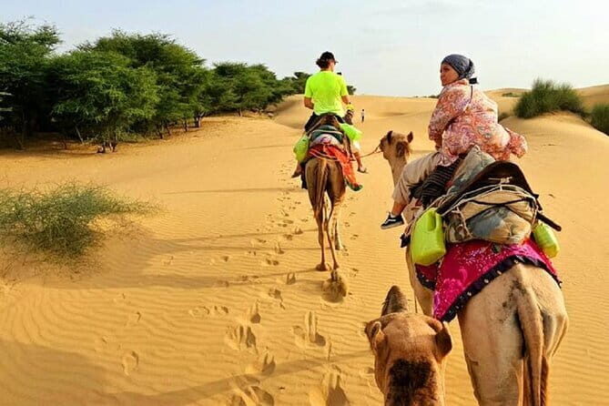 Private One Way Transfer From Jaisalmer Airport To Jaisalmer Hotel - Who Will Benefit Most from This Service?