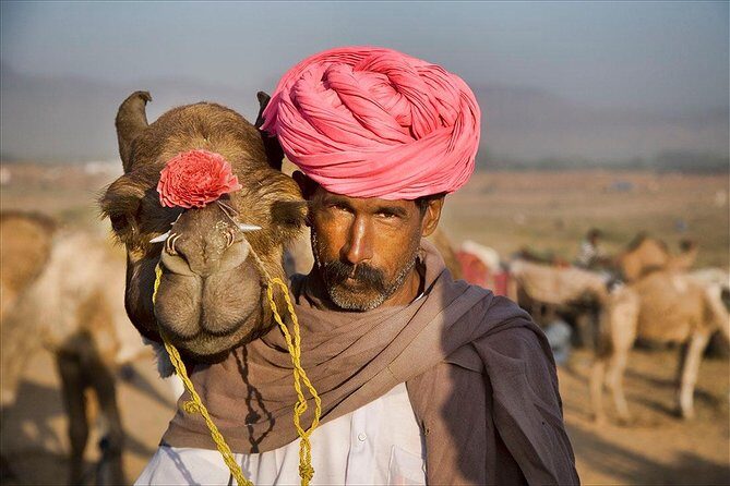 Private One Way Transfer From Pushkar To Jaipur In AC Vehicle - Key Points