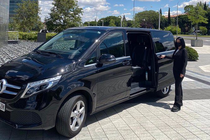 Private ONE WAY transfer from/to Paris CDG from/to Paris city - Who Should Consider This Transfer?