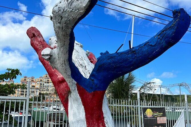 Private One-way Transfer from/to SJU Airport to Rincon Area - Who Will Appreciate This Service?