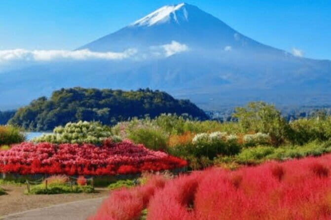 Private One Way Transfer Tokyo Hotel to TOKYO SKYTREE - The Drive and the Arrival at Tokyo Skytree