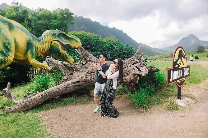 Private One way Transfer Waikiki Hotel and Kualoa Ranch - Why Choose This Private Transfer?