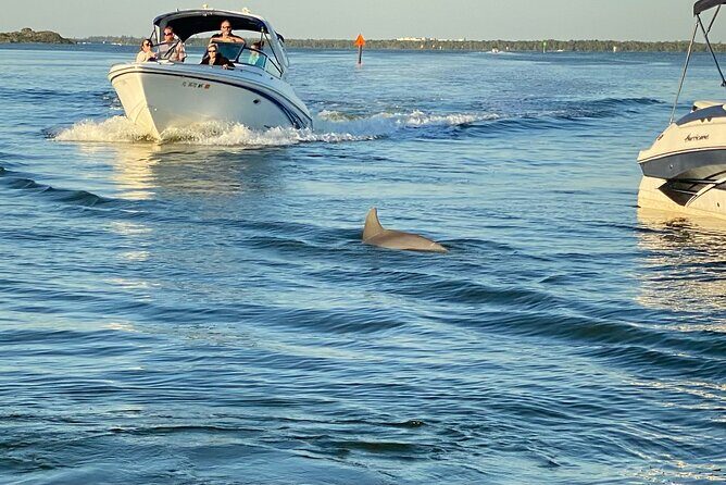 Private ONLY Dolphin Boat Tours - Introduction: What’s Special About This Tour?
