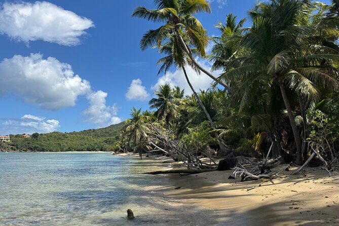 Private Open-Air Jeep Adventure with Tropic Sun Hidden Beaches - Discovering St. Thomas in a Private Jeep