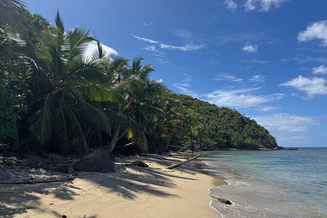 Private Open-Air Jeep Adventure with Tropic Sun Hidden Beaches - Who Will Love This Tour?