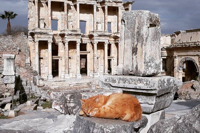 Private or Group Ephesus & Terrace Houses with Ticket for Cruiser - Authentic Experiences and Real-World Feedback