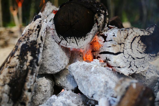 Private or Shared Temazcal Unique Mayan Ritual from Cancun - Introduction: What This Tour Is About