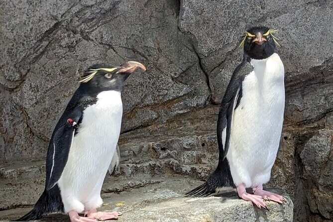 Private Osaka and Nara tour with English speaking guide - The Sum Up