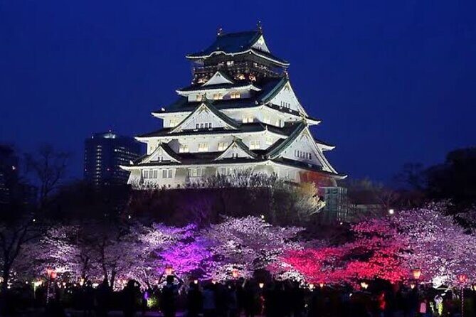 Private Osaka Tour: Omakase Bar Walking Experience - Key Points