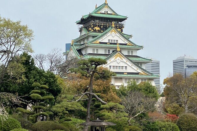 Private Osaka Tour with Hotel Meet Up - Why This Tour Stands Out