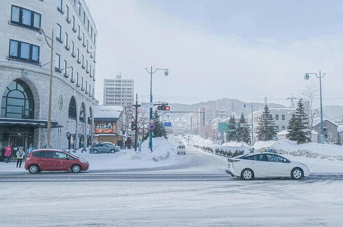 Private Otaru Shore Excursion - Analyzing the Value: Is It Worth It?