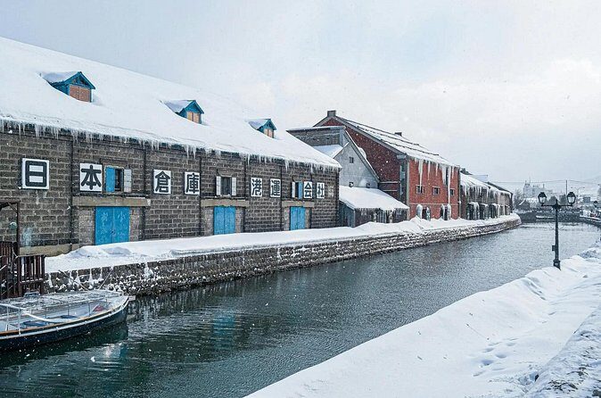 Private Otaru Shore Excursion - Who Should Consider This Tour?
