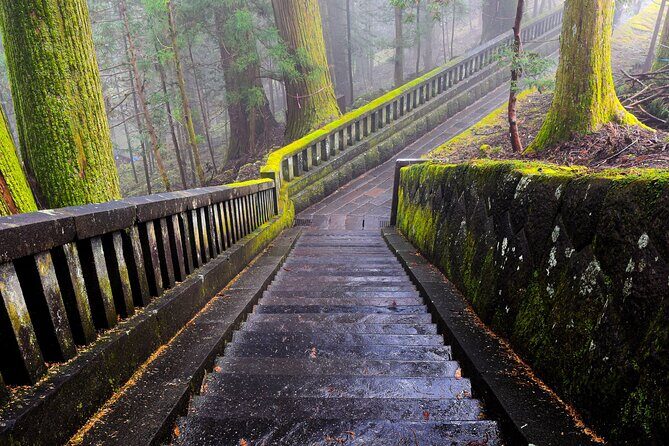Private Outstanding Nikko Tour with English Speaking Driver - Who Is This Tour Best Suited For?